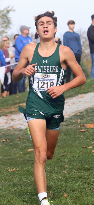 Four local runners earn state medals at PIAA cross country ...